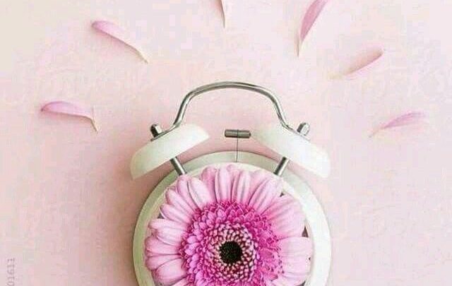 Im Genes De Buenos Dias Para Facebook – Imágenes de bonitas para descargar gratis