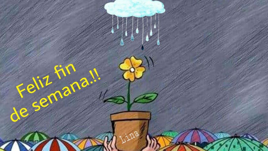 Imagenes De Fin De Semana Animadas – Imágenes de bonitas para descargar ...