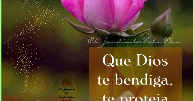 Frases Para Desear Un Feliz Viernes – Imágenes de bonitas para ... Frases Para Desear Un Feliz Viernes – Imágenes de bonitas para ...
