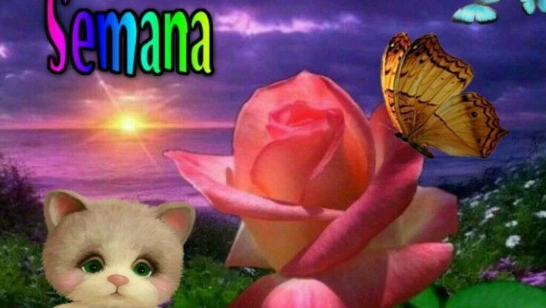 Buenas Noches Feliz Fin De Semana Imágenes De Bonitas Para Descargar Gratis