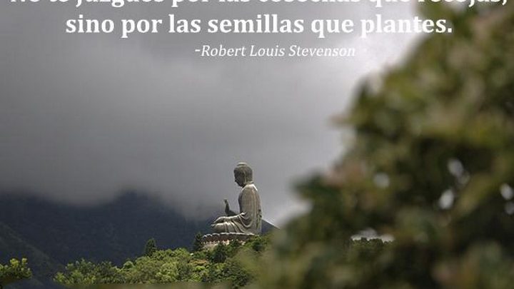 No Te Juzgues Por Las Cosechas Que Recojas Sino Por Las Semillas Que ...