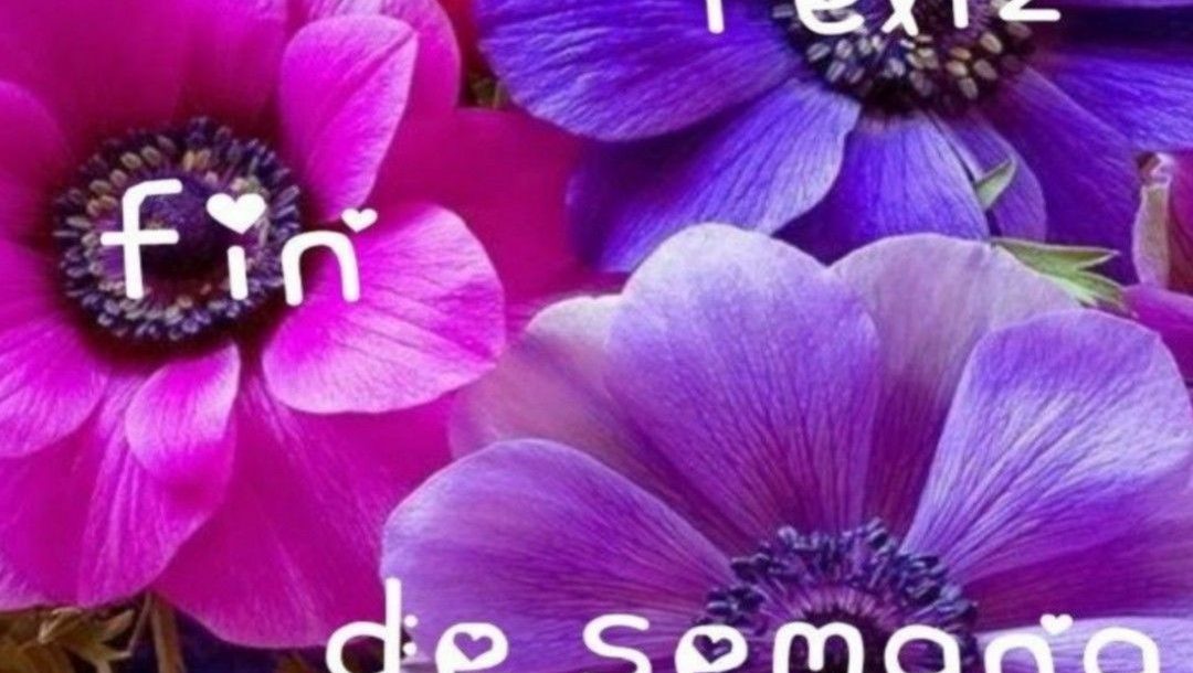 Desear Un Feliz Fin De Semana – Imágenes de bonitas para descargar gratis