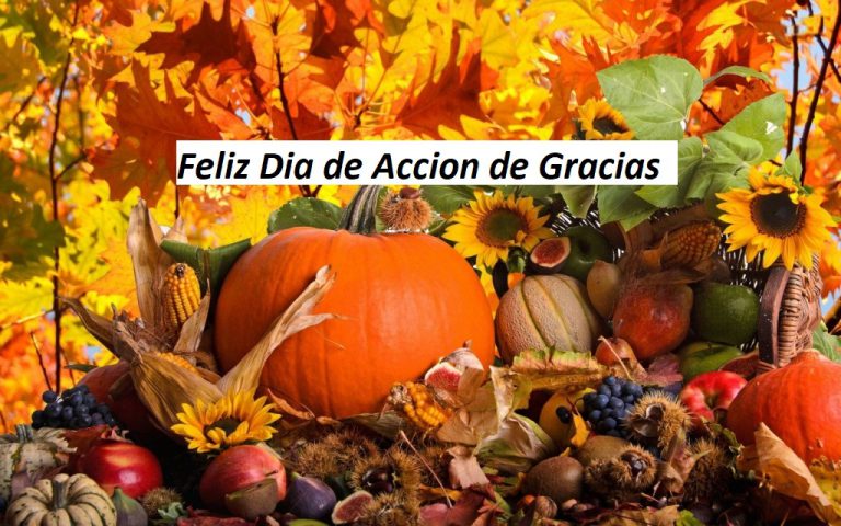 Feliz dia de accion de gracias imagenes gratis - Imágenes de bonitas ...