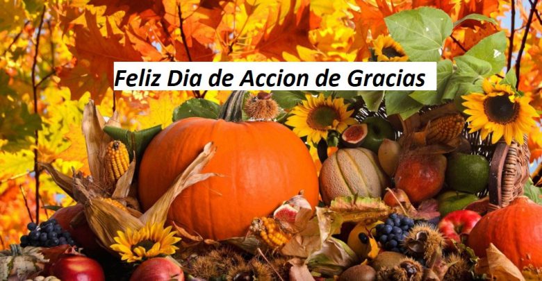 Feliz dia de accion de gracias imagenes gratis – Imágenes de bonitas ...