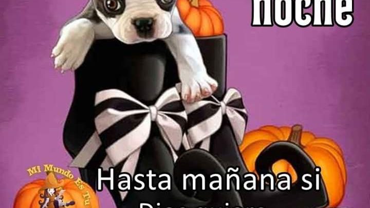 Imágenes De Brujas De Halloween – Imágenes de bonitas para descargar gratis